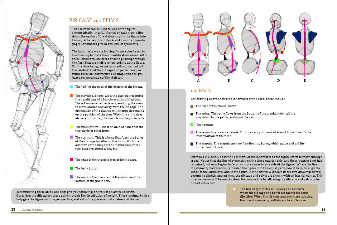 Figure Drawing: Design and Invention by Michael Hampton | Book – Steven ...